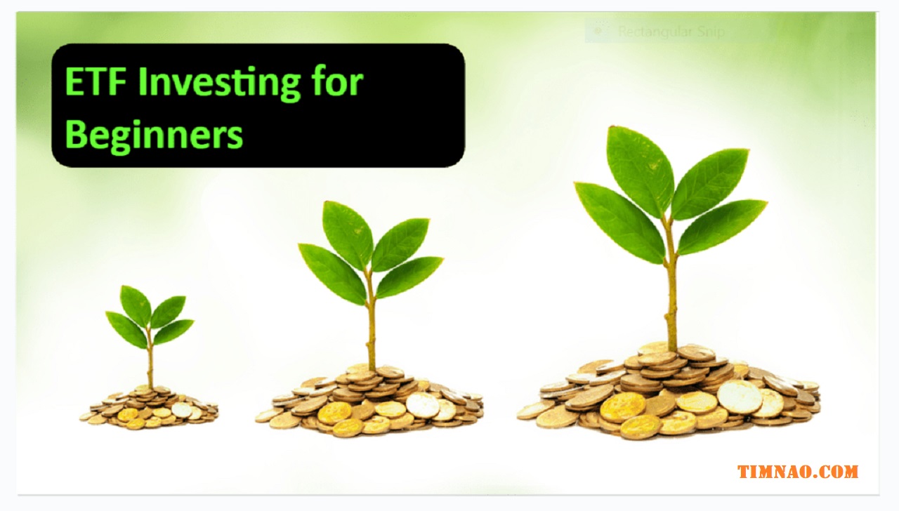 Unlock Wealth in 2025: Your Ultimate Guide to Succeed in ETF Investing for Beginners - TimNao.com